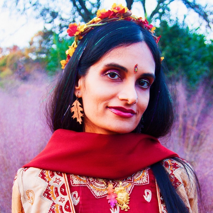 Hindu cosmology as family drama – A review of Star Daughter by Shveta ...